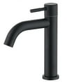 Matte Black Bathroom Faucet Minimalist Single Cold Water Sink Mixer Tap