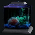KollerCraft 1.5-Gallon Betta Fish Aquarium Kit - Walmart.com