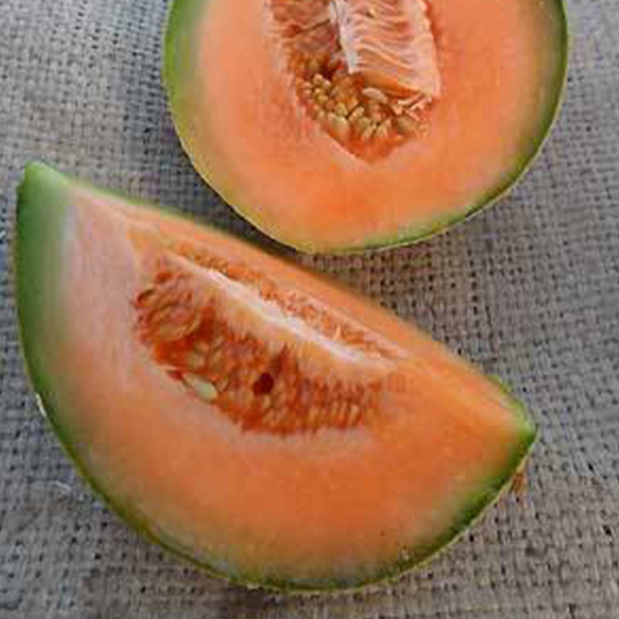 Organic Sierra Gold Melon Seeds - 1 OZ ~1,000 Seeds - Organic, Heirloom ...