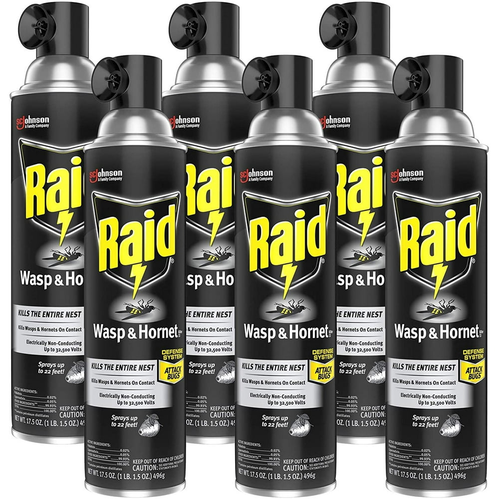 Raid Wasp and Hornet Killer, 17.5 Ounce (Pack of 6) - Walmart.com ...