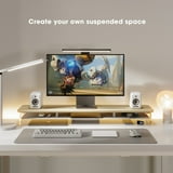 Fenge Acrylic Monitor Stand Riser, 42.5 Inches Dual Acrylic Monitor ...