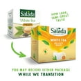 Salada White Tea with 40 Individually Wrapped Tea Bags Per Box (Pack of ...