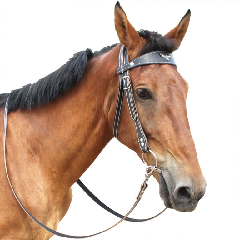Western Horse Bridles And Bits Know Everything About Horse Bridles