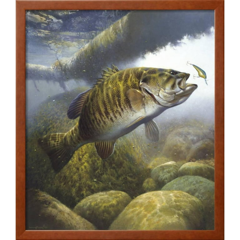 Smallmouth Bass Artwork