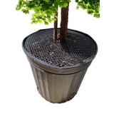 Curtis Wagner Plastics Corp Plant Guard 12" Diameter 2Pack Cuttable ...