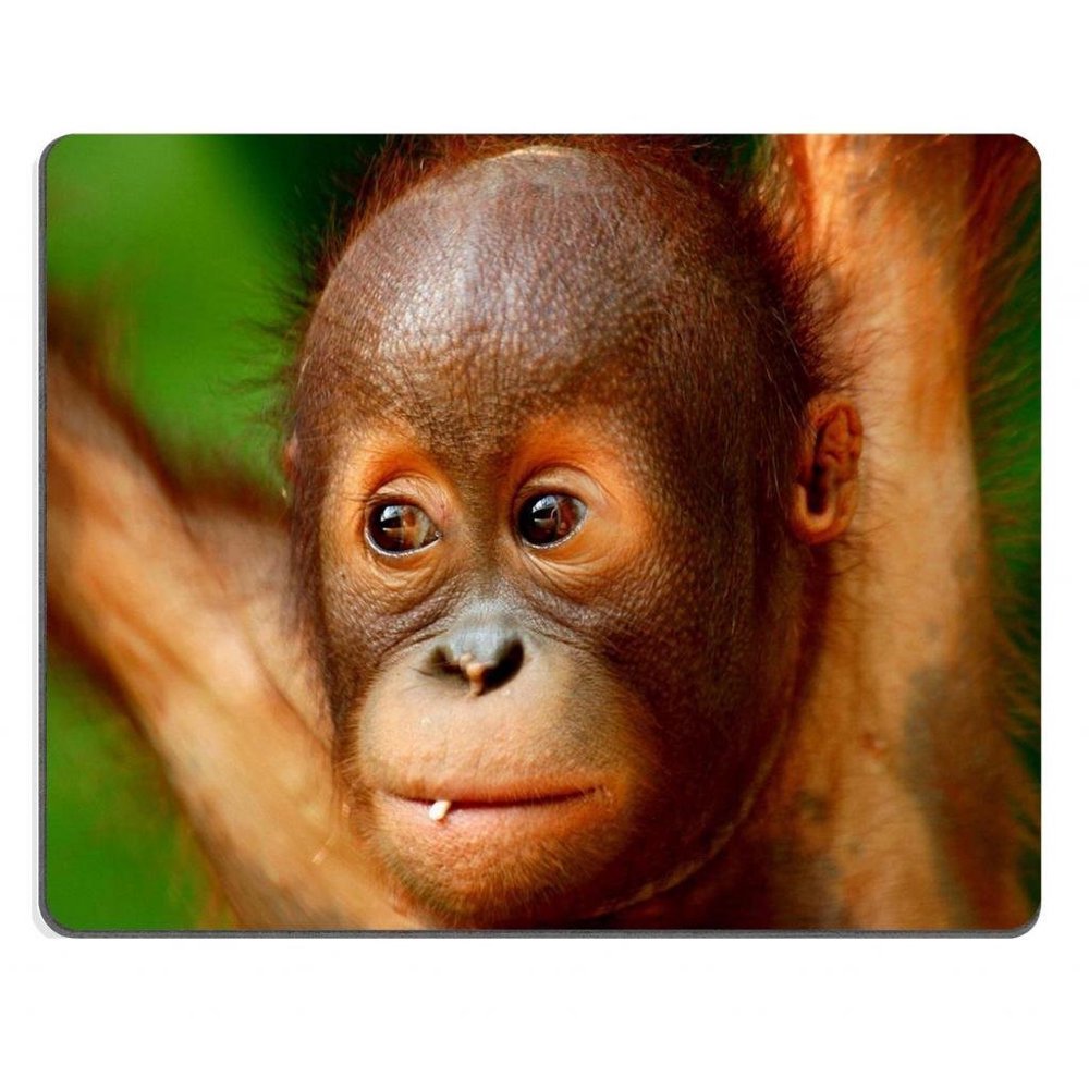 POPCreation ape monkey animals Mouse pads Gaming Mouse Pad 9.84x7.87 ...