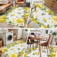 3'x5' Area Rugs, Lemon Farmhouse Indoor Outdoor Area Rug for Living ...