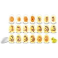 Chick Life Cycle Exploration Set - Walmart.com