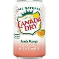 Canada Dry PEach Mango Sparkling Seltzer Water, 12 Fl. oz., 12 Count ...