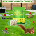 Rodent Repellent - Peppermint Oil to Repel Mice - Natural Rodent ...