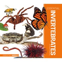 Salamander 101: How to Learn About, Get, and Take Care of Salamanders ...