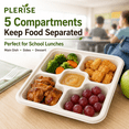 500 Pack 5 Compartment Disposable Paper Lunch Trays, 10.25 x 8.5 Inch ...
