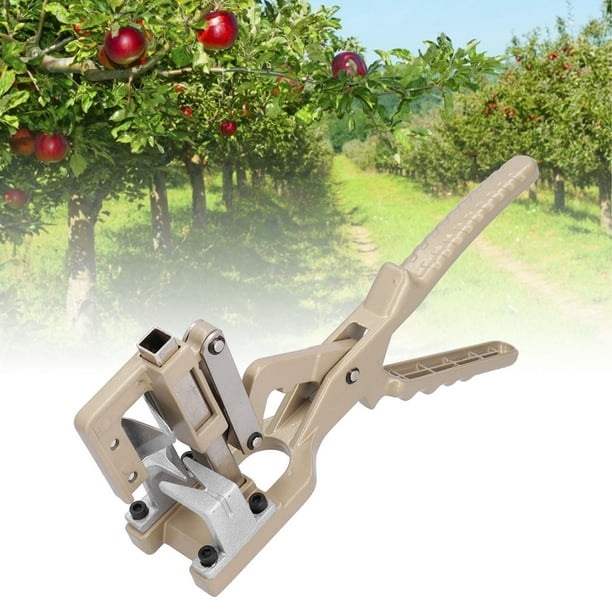 Grafting Scissors, Pruner Kit Plant Scissor For Fruit Trees - Walmart.ca