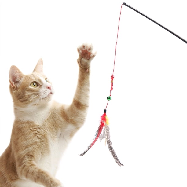 Clairlio Funny Cat Feather Toy Colorful Wands Feather Teaser for Indoor ...
