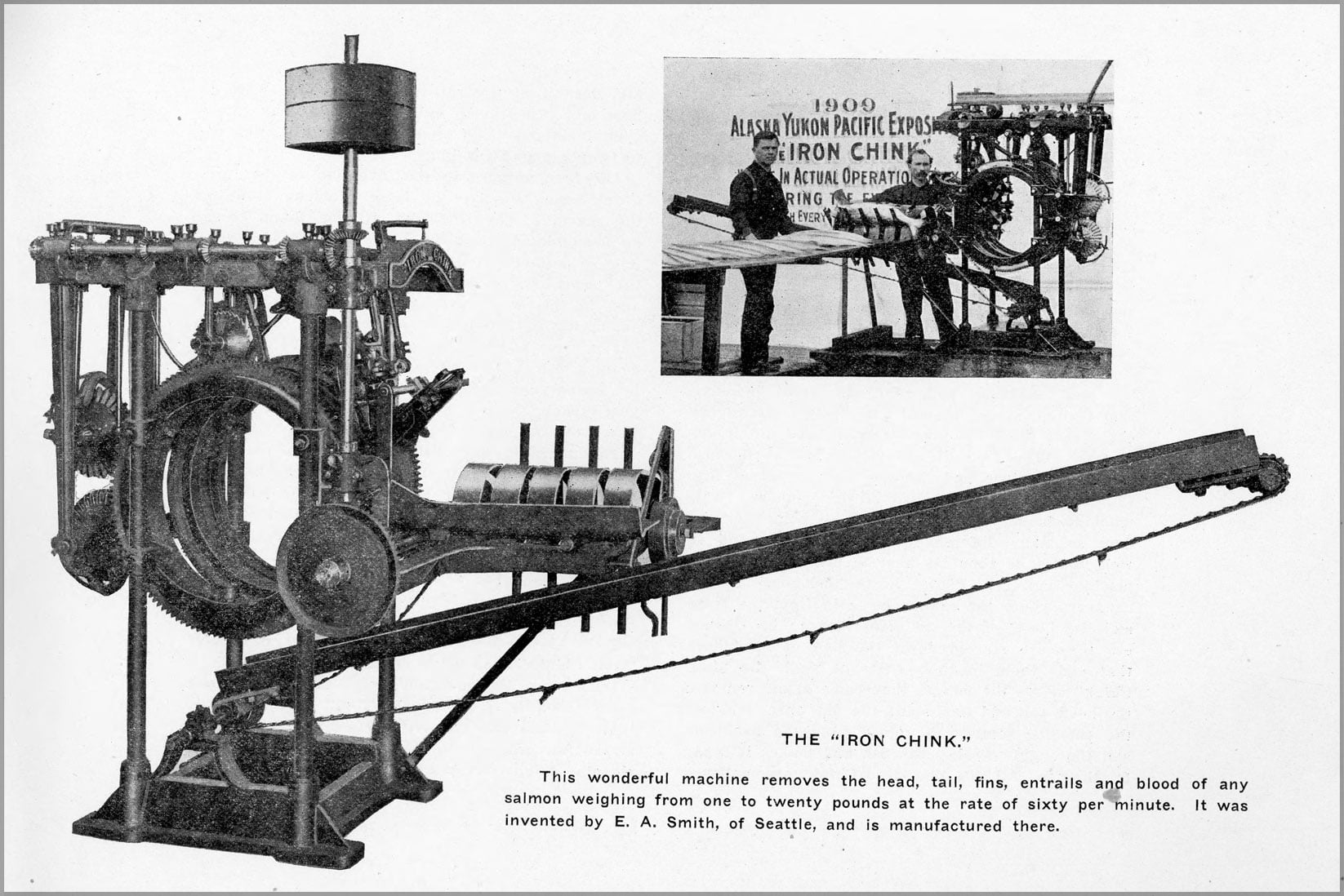 24"x36" Gallery Poster, The Iron Chink a machine for commercial fish ...