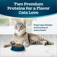 Blue Buffalo Tastefuls Adult Cat Dry Food, Multi-Protein Chicken ...