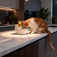 Bowl Dispenser for Indoor Outdoor Use Shape Pet Hydration Solution ...