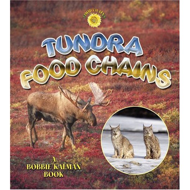 Tundra Food Chain