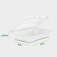 Compostable Clamshell Food Containers 8x8 Inch 50-Pack Biodegradable ...