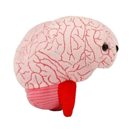 Click here for Giant Microbes Giantmicrobes Brain Organ Plush - A... prices