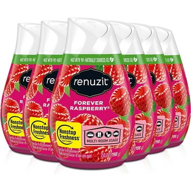 Renuzit Gel Air Freshener, Forever Raspberry, 7.0 Ounce - Walmart.com