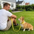2 PCS Long Dog Training Lead for Recall and Obedience, Heavy Duty Leash ...
