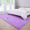 Free Shipping! Dwelke Ultra Fluffy Rug Indoor Plush Soft Carpet for ...