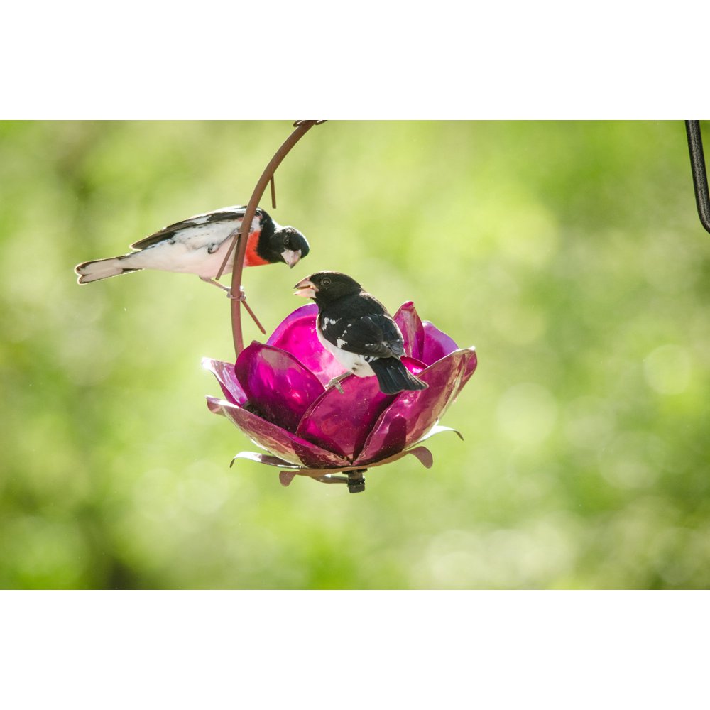Crab Apple Feeder - Walmart.com - Walmart.com