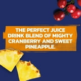 Ocean Spray® Cran-Pineapple™ Cranberry Pineapple Juice Drink, 64 fl oz ...
