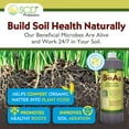 SCD Probiotics, Microbial Inoculant, 1 Liter, Soil Amendment - Walmart.com