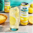 Sun Cruiser Lemonade Vodka Variety, 8 pack, 12oz Aluminum Cans, 4.5% ...