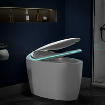 HOROW Luxury Smart Toilet with Warm Water, Dual Electric Operated ...