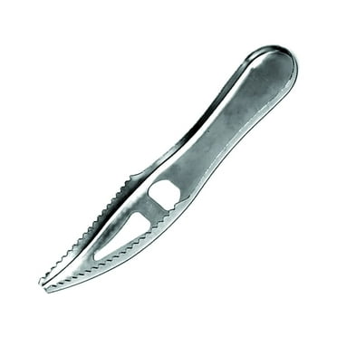 South Bend Soft Grip Fish Scaler, Rubber Handle, Steel Double-Tooth ...