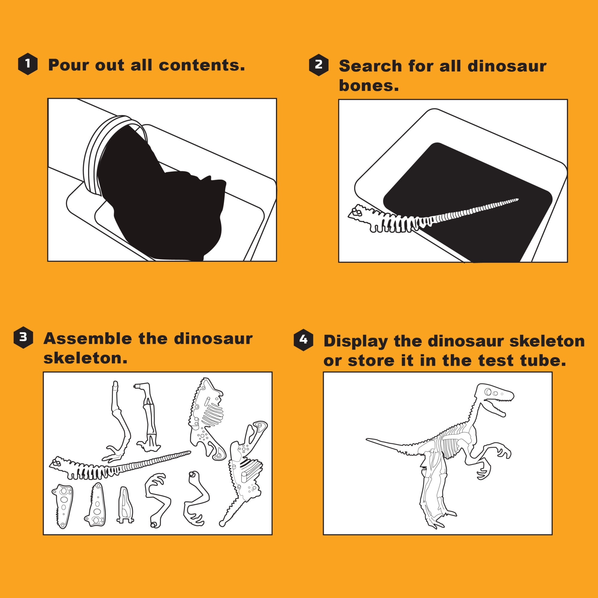 Dinosaurs In Test Tube