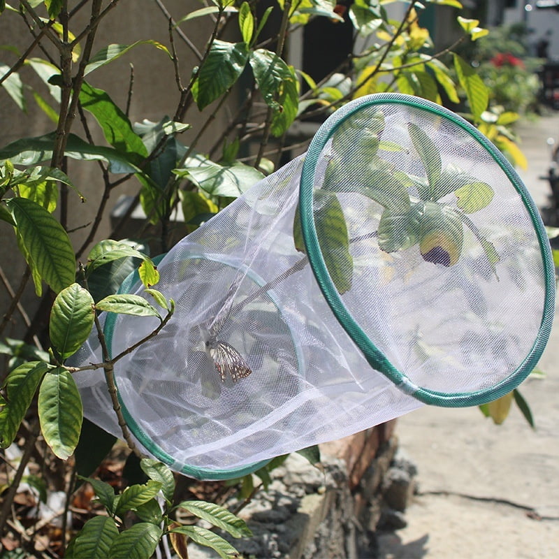 Insect Cage Transparent Hanging Nature Observation Ventilated Butterfly ...