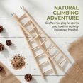 BESTYASH 2Pcs Light Yellow Wooden Bird Cage Ladder with Grinding ...