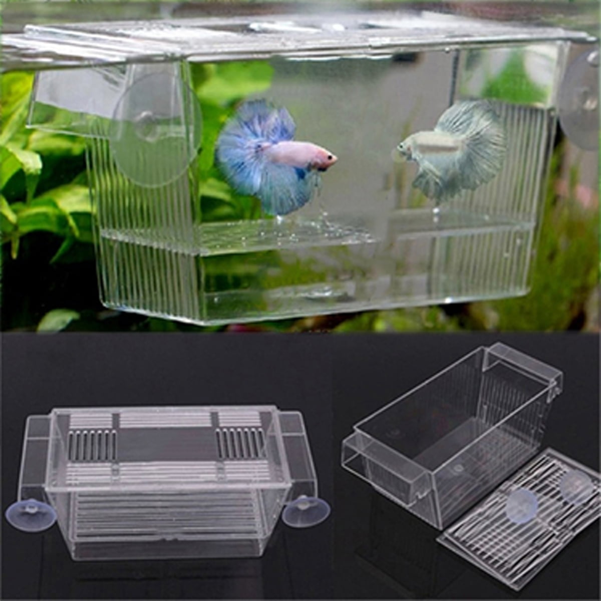 Meidiya Fish Breeding Box,Acrylic Fish Isolation Box with Suction Cups ...