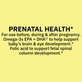 Spring Valley Prenatal Mini Multivitamin/Multimineral Supplement, Mini ...