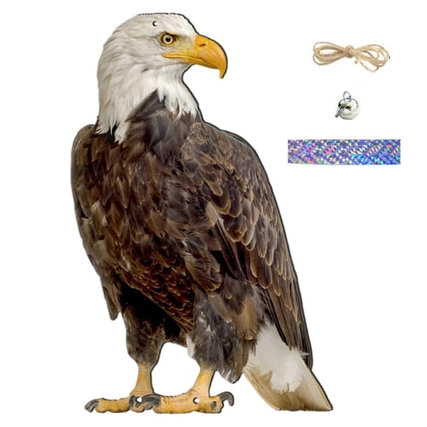 Outdoor Bird Repellent Devices, Realistic Eagle with Small Bell, Pigeon ...