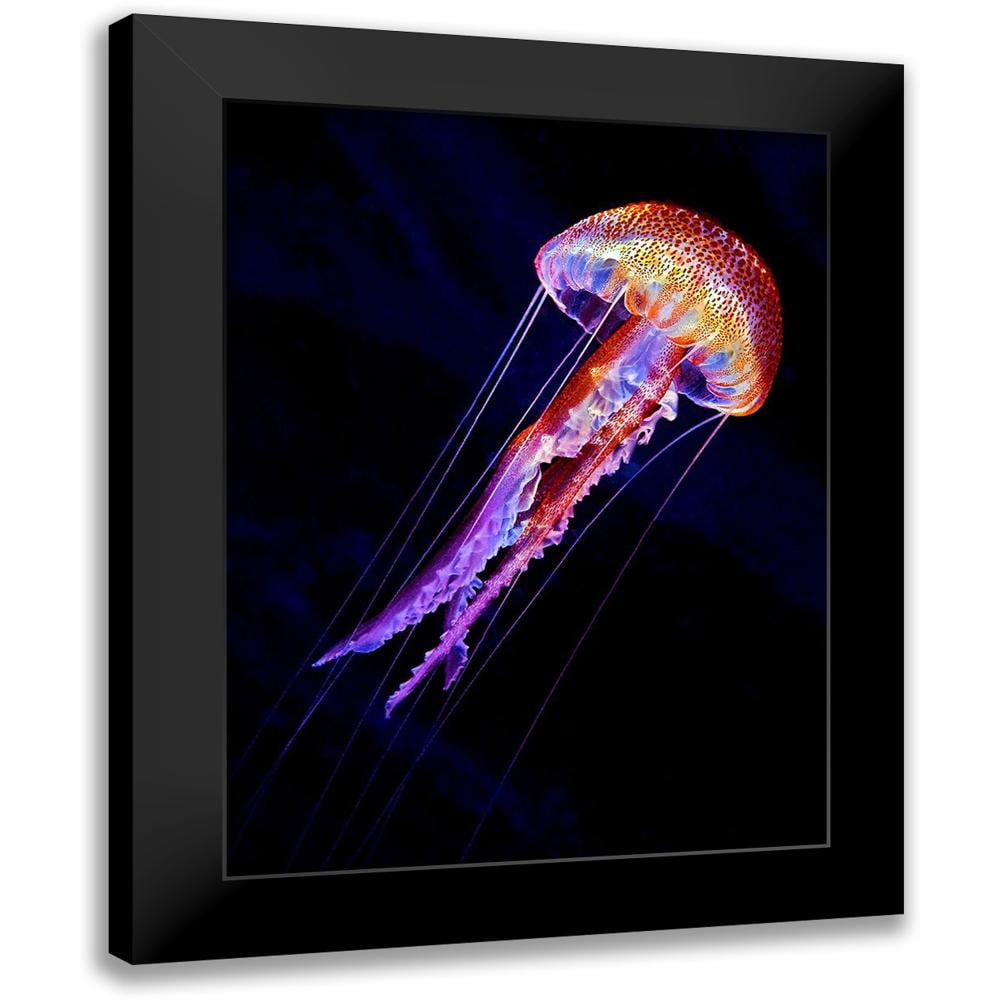 Jager, Henry 15x18 Black Modern Framed Museum Art Print Titled ...