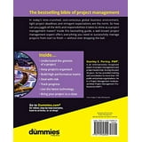 Project Management for Dummies - Walmart.com