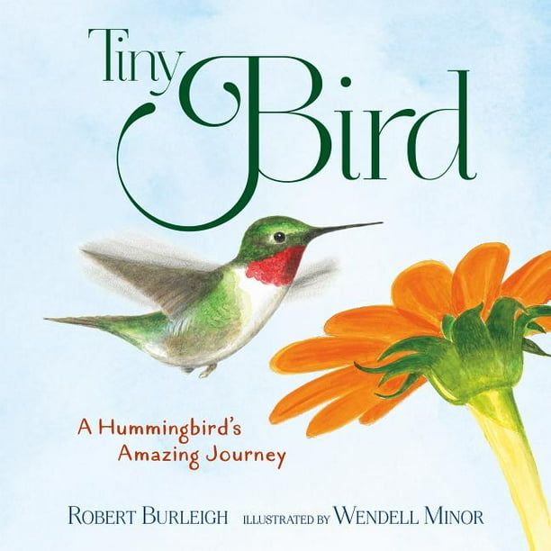 Tiny Bird : A Hummingbird's Amazing Journey (Hardcover) - Walmart.com ...