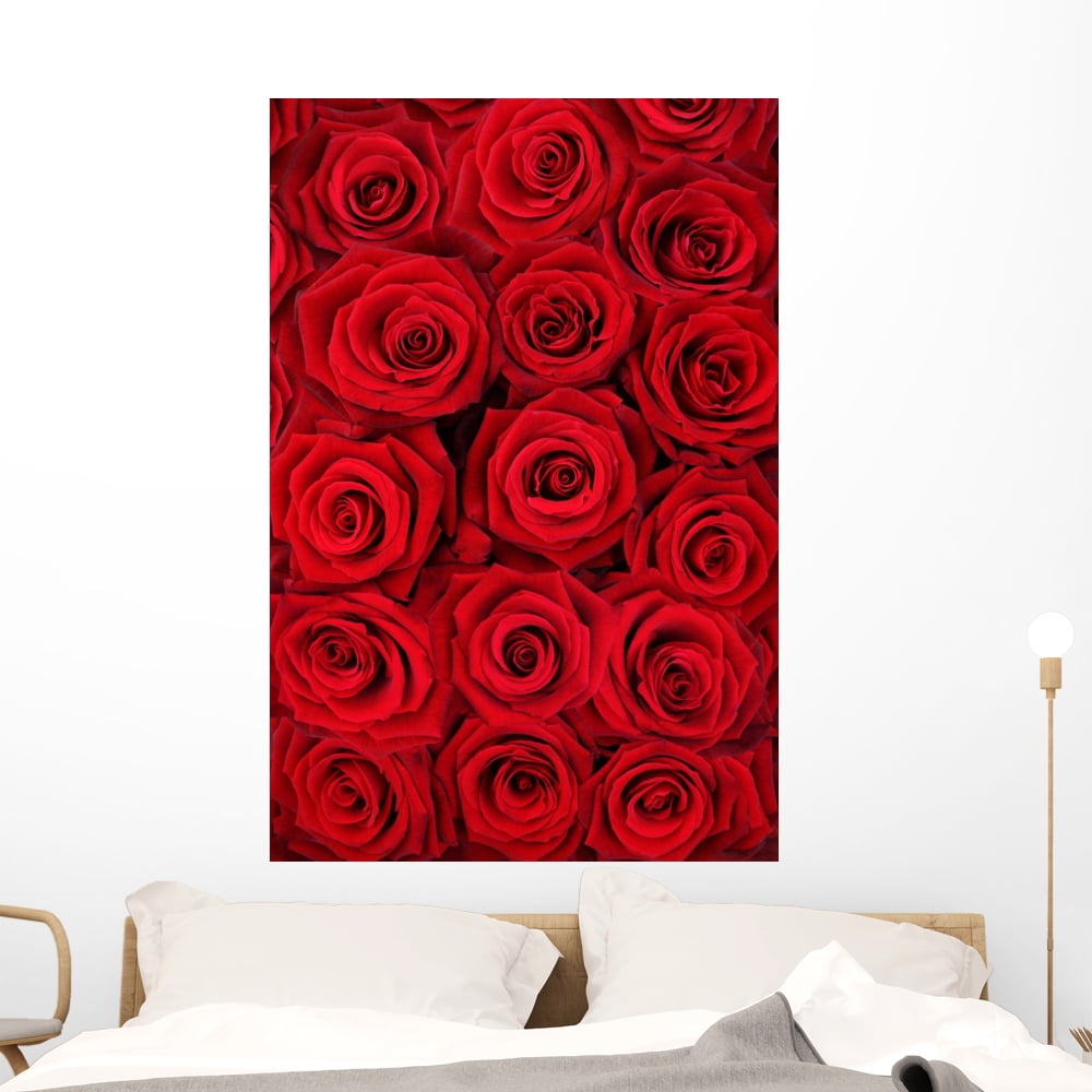 Red Roses Wall Mural by Wallmonkeys Peel and Stick Graphic (48 in H x ...