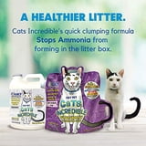 Lucy Pet Cats Incredible Clumping Unscented Cat Litter, Smell Squasher ...