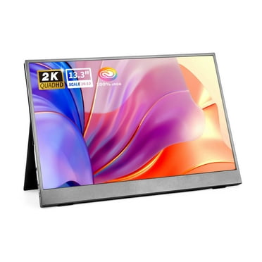 Portable Monitor for Computer, 15 inch IPS 100% sRGB 1080P USB C ...