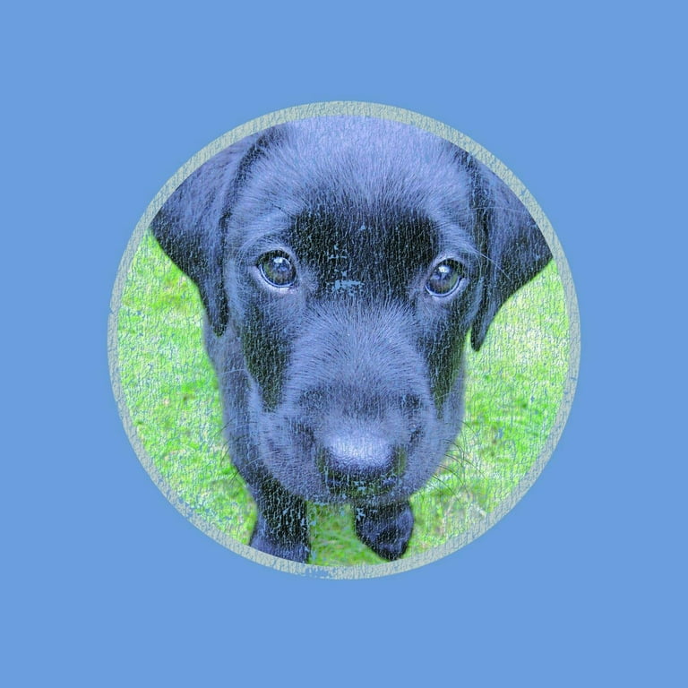 Lab Labrador | ppgbbe.intranet.biologia.ufrj.br