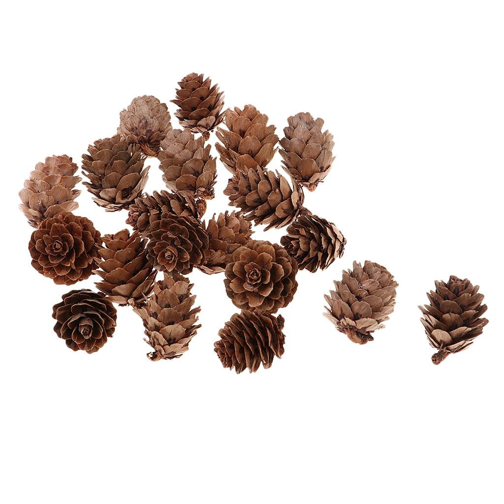 20 Pieces Mini Rustic Dried Cones In Bulk For Christmas Party Ornament ...