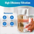 CFS 10 Activated Carbon Water Filter Cartridge Compatible with Watts ...
