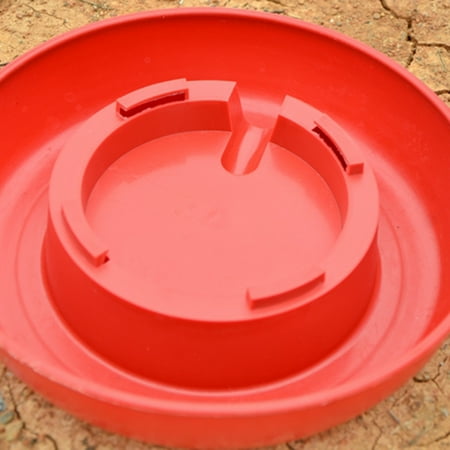 3L Bird Water Feeder Dome Poultry water feeder water feeder 3L poultry ...