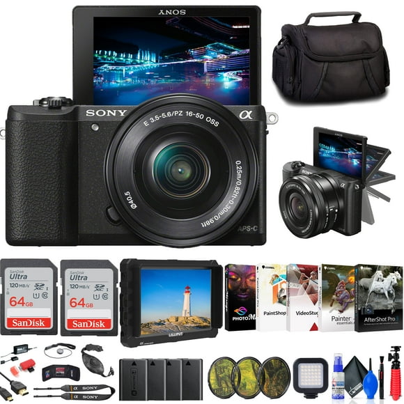 Sony N50 Digital Camera Electronics